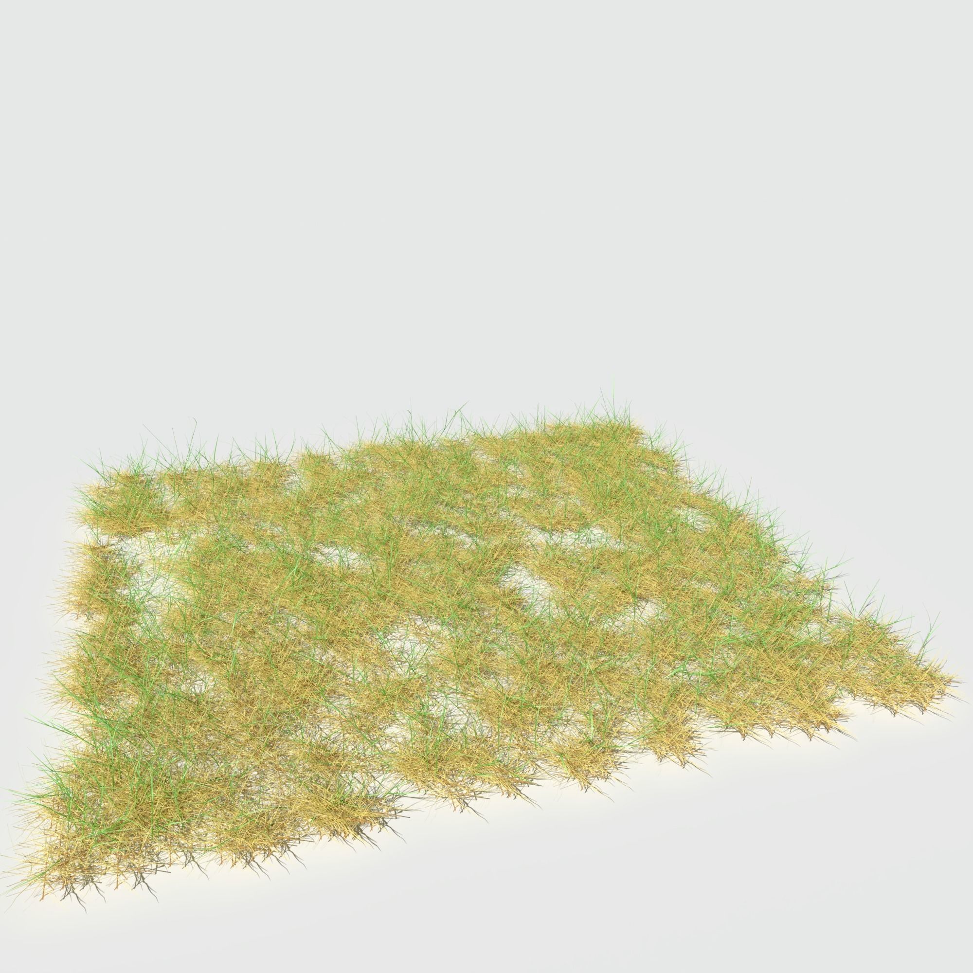 Clover Meadow Patch 3D model | CGTrader