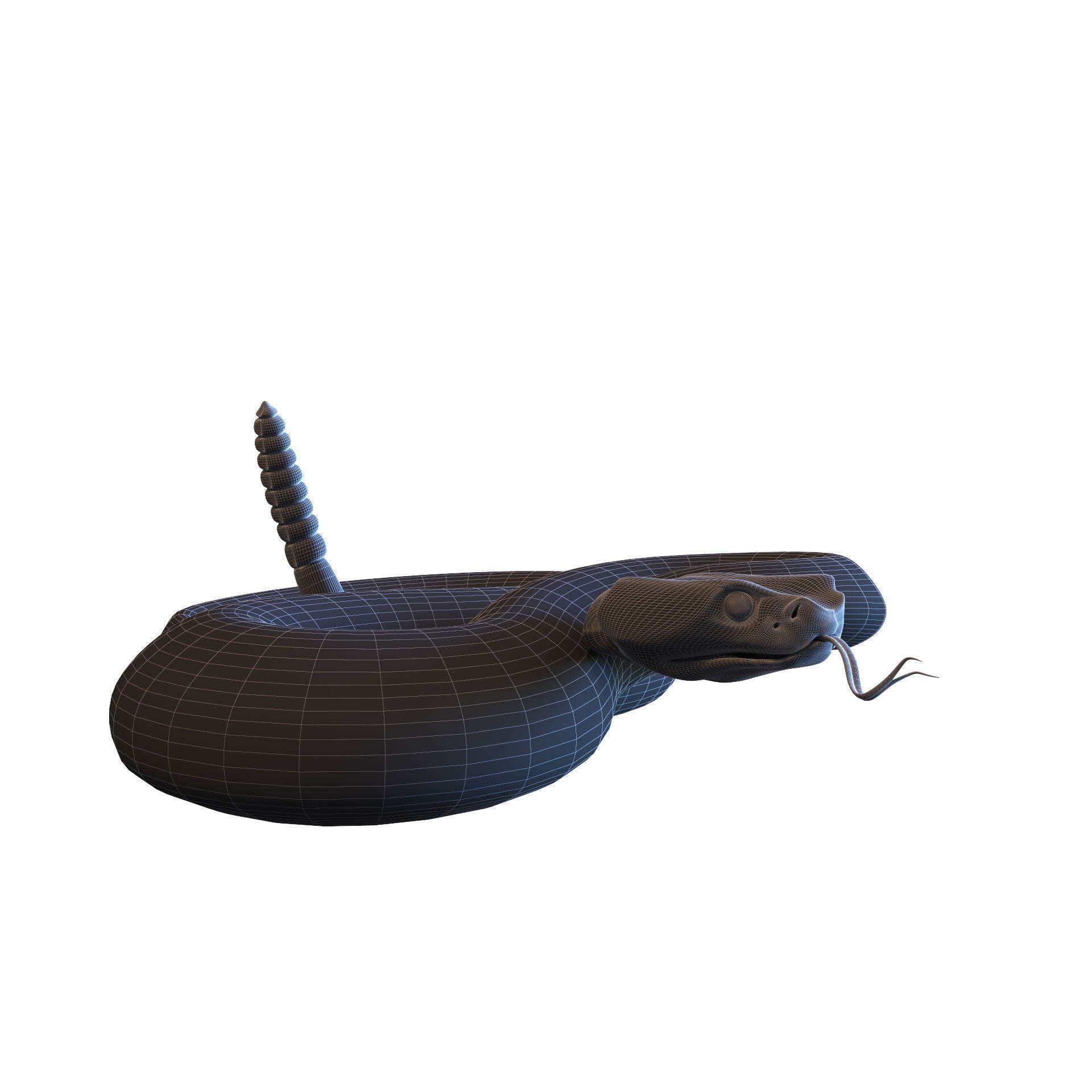 Rattlesnake snake 3D model | CGTrader