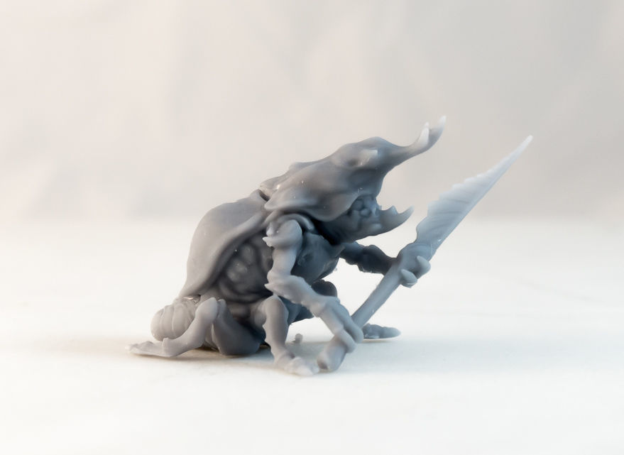 Beetle Guard- 3D printable Character - 2 Poses 3D model 3D printable ...