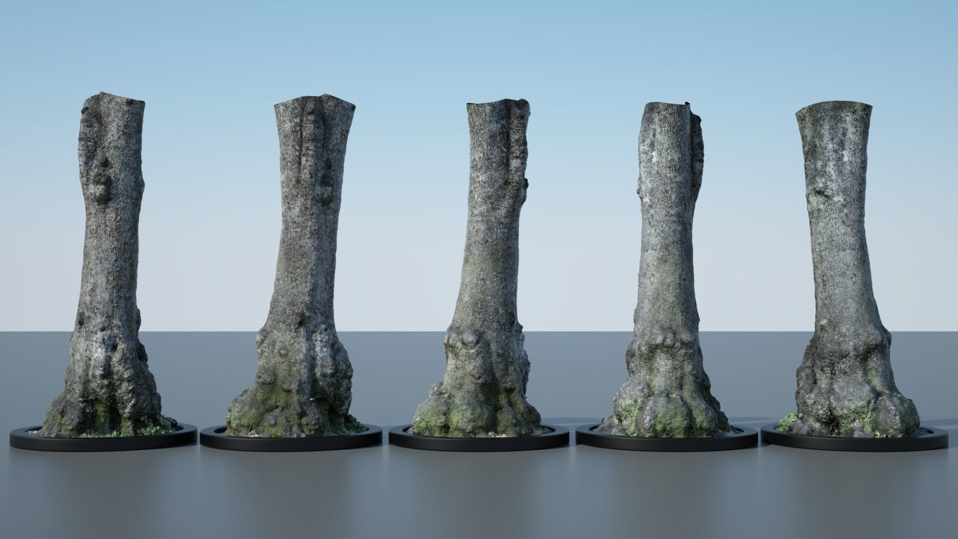 Tree Trunk - 11 3D model | CGTrader