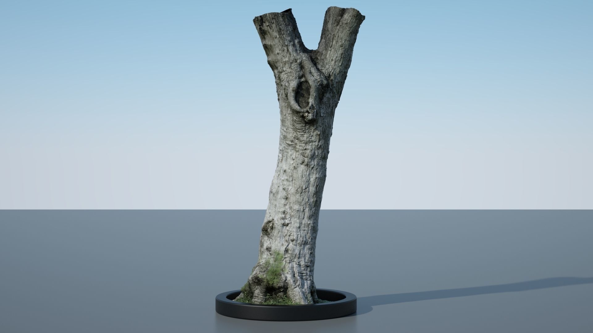 Ultra Realistic Tree Trunk 3D model | CGTrader