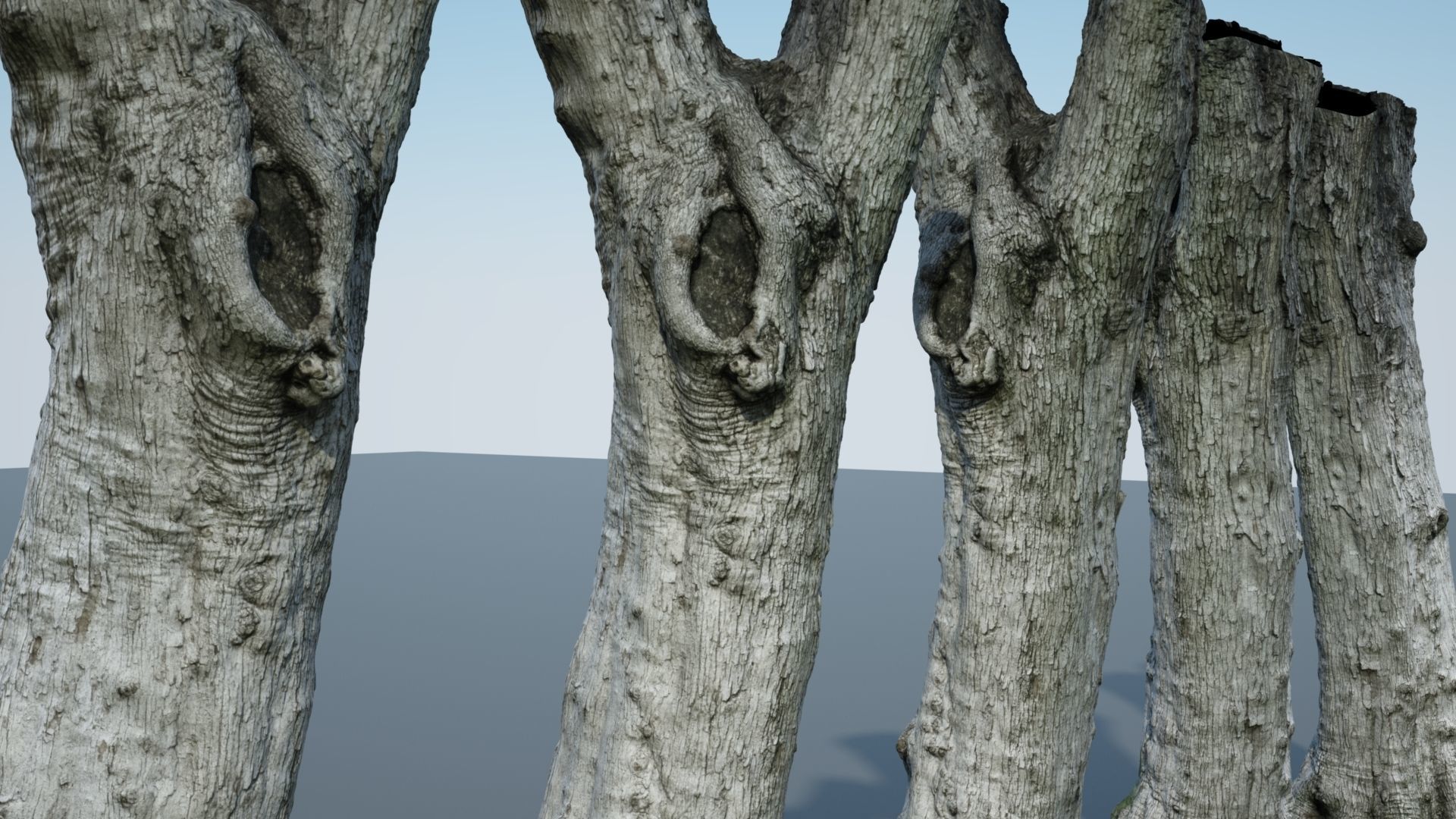Ultra Realistic Tree Trunk 3D model | CGTrader