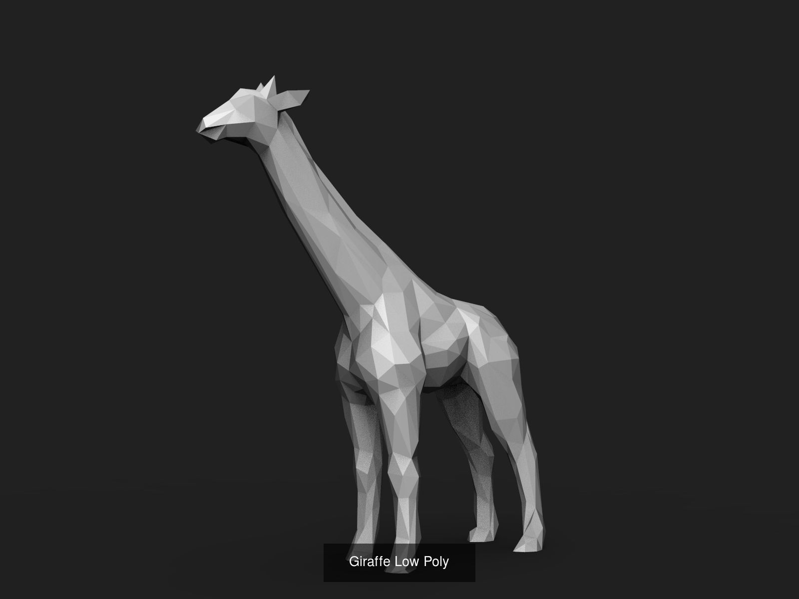 Animal Low Poly 3D Model Collection | CGTrader