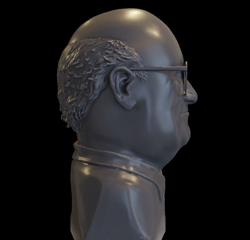 Danny DeVito bust 3D model 3D printable | CGTrader