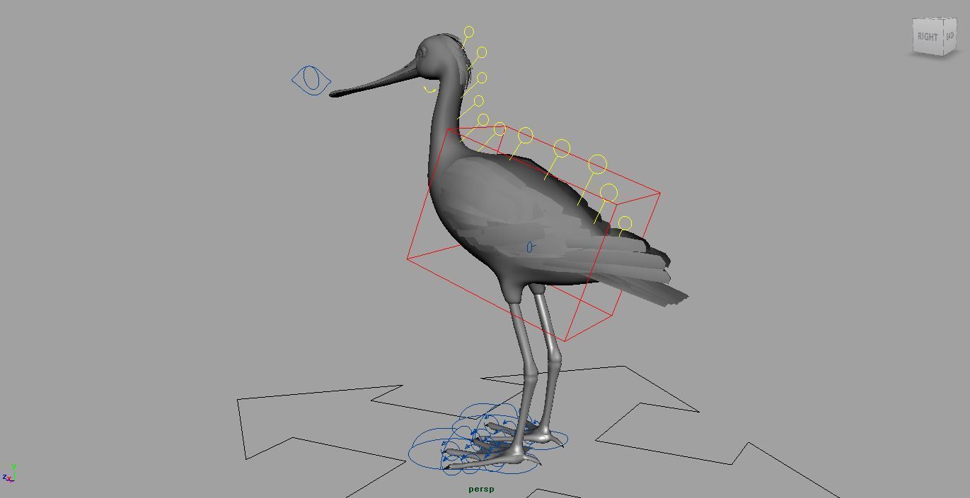 spoonbill stork with beak 3D model rigged | CGTrader