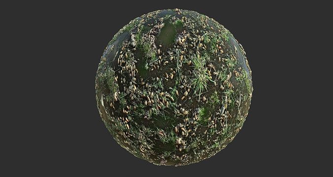 Forest Ground with Water Texture | CGTrader