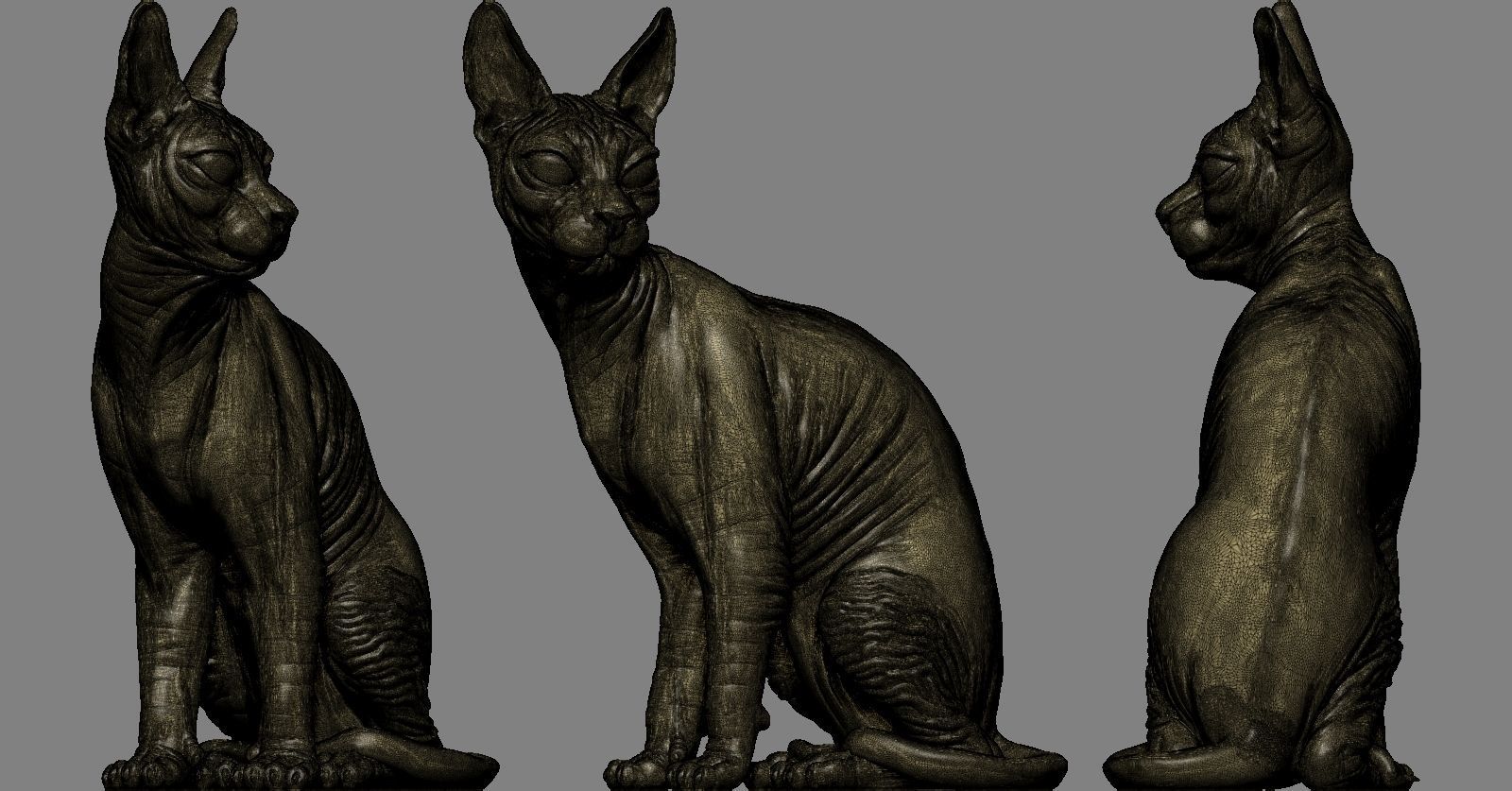 Cat Sphynx 3D model 3D printable | CGTrader