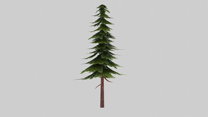 3D model Stylized Pine Tree VR / AR / low-poly | CGTrader
