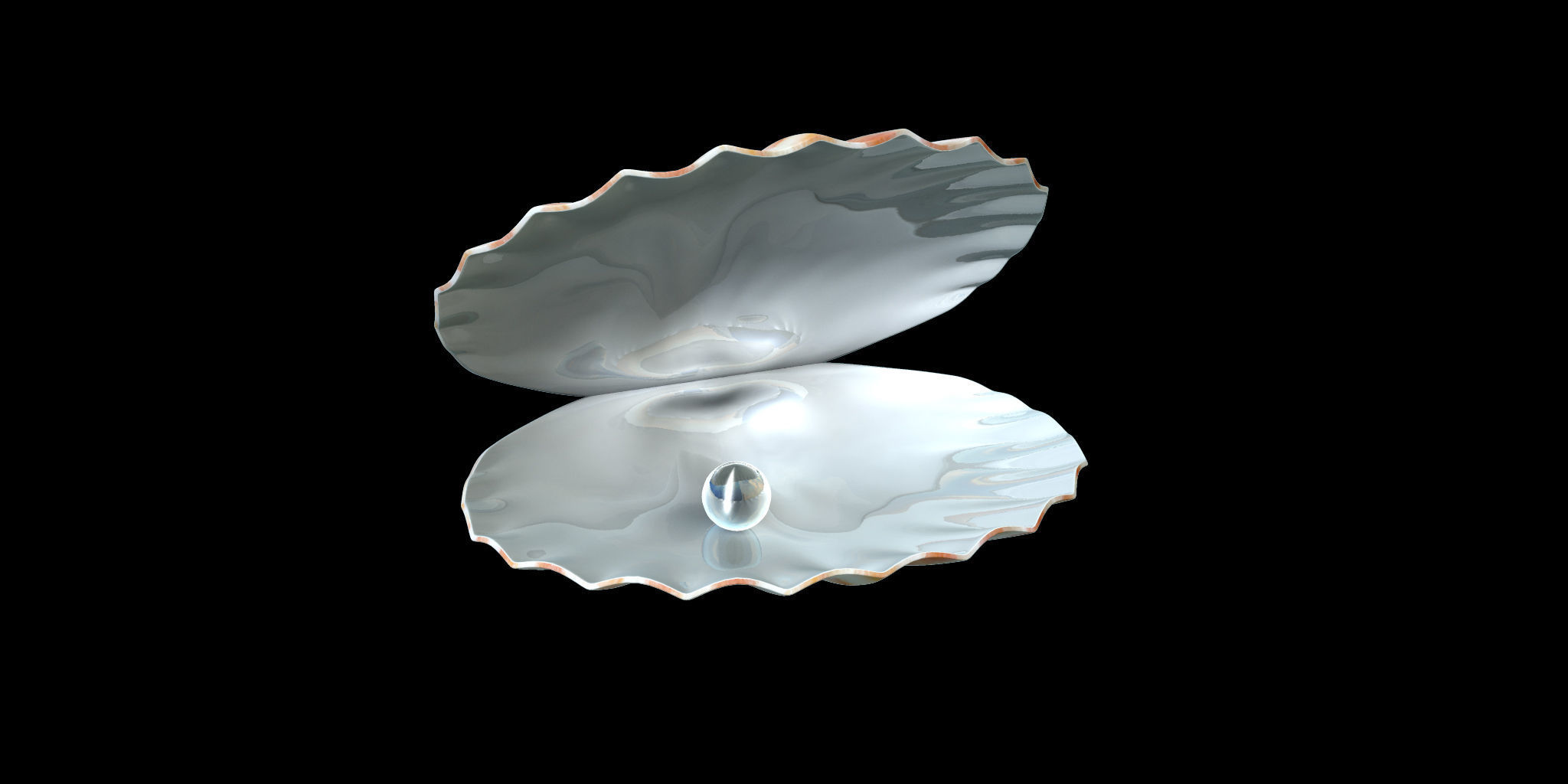 ocean pearl shell 3d model 3D model | CGTrader