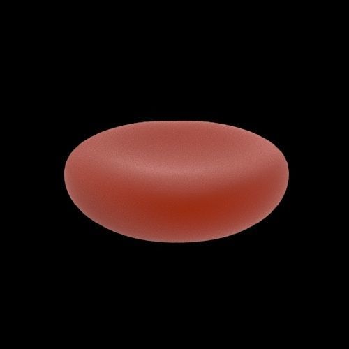 Red Blood Cell 3D model | CGTrader
