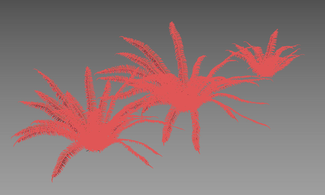 Sword Fern Animation 3D model animated | CGTrader