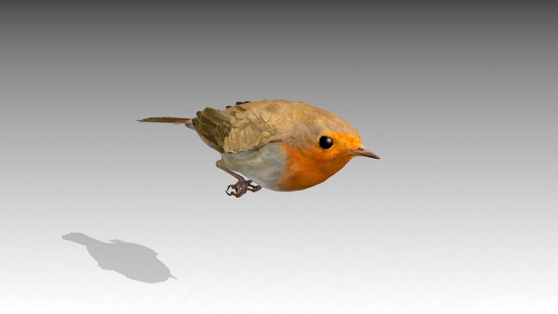 3D model Robin VR / AR / low-poly rigged animated | CGTrader