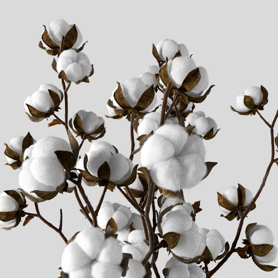 Cotton in a jug 3D model | CGTrader
