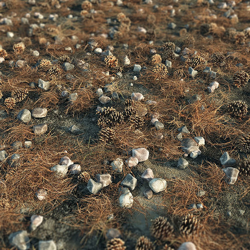 3D model Scatter plant trees VR / AR / low-poly | CGTrader