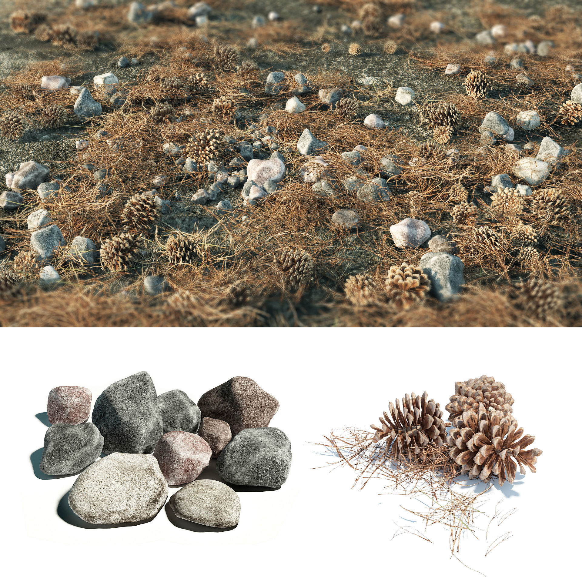 3D model Scatter plant trees VR / AR / low-poly | CGTrader