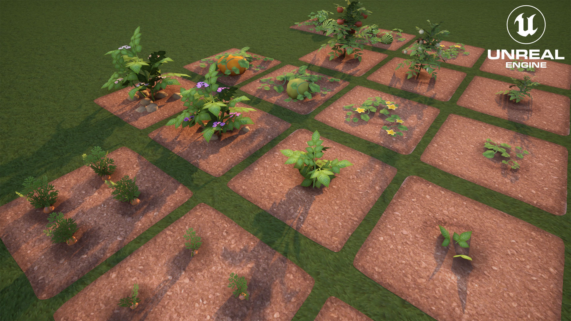 3D model Vegetable Farm G26 VR / AR / low-poly | CGTrader