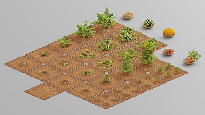 3D model Vegetable Farm G26 VR / AR / low-poly | CGTrader
