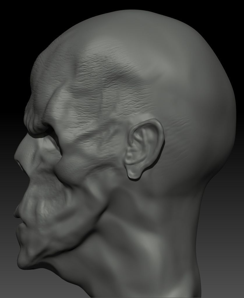 3D model dom iki VR / AR / low-poly | CGTrader