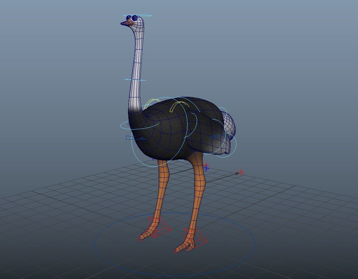 3D model Cartoon Ostrich - Rigged VR / AR / low-poly rigged | CGTrader