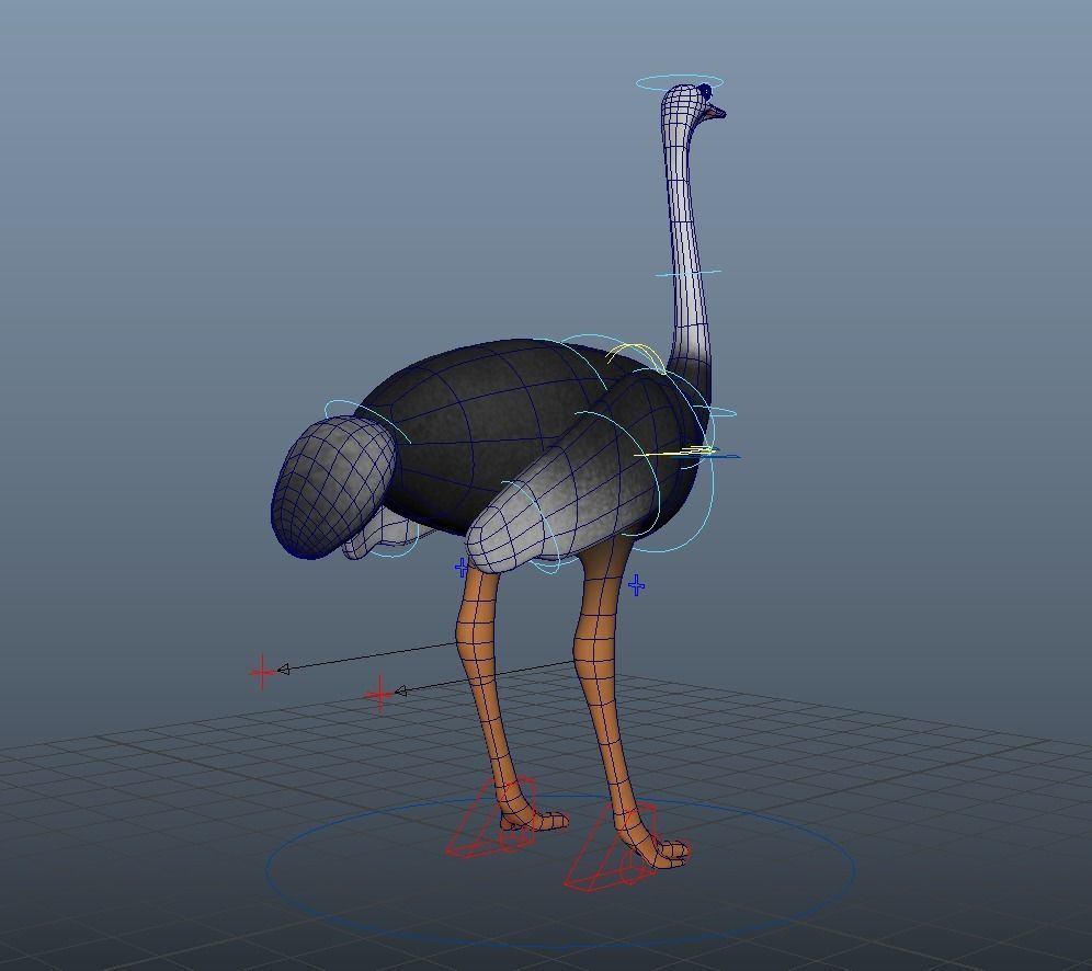 3D model Cartoon Ostrich - Rigged VR / AR / low-poly rigged | CGTrader