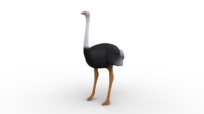 3D model Cartoon Ostrich - Rigged VR / AR / low-poly rigged | CGTrader
