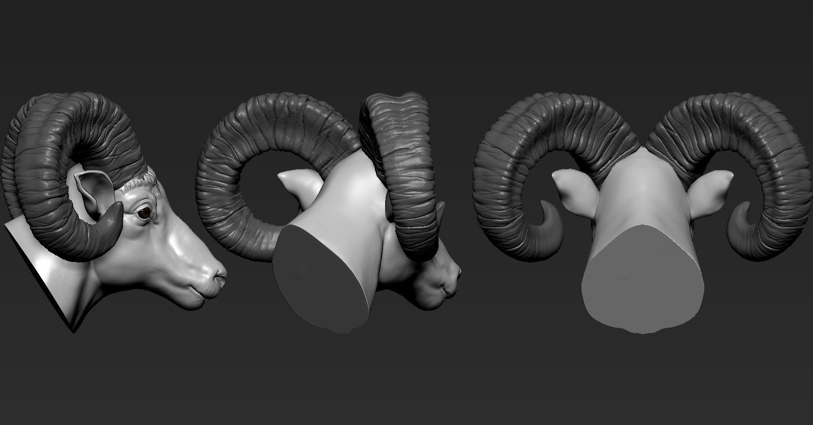 Ram Head 3D model 3D printable | CGTrader
