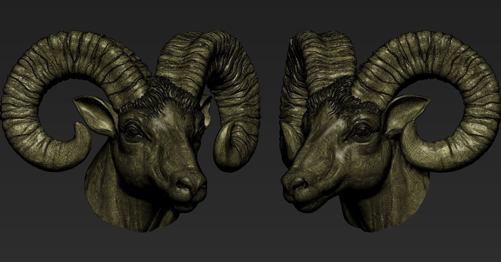 Ram Head 3D model 3D printable | CGTrader