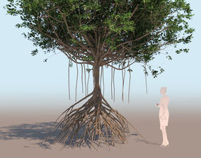 Free Mangrove 3D Models | CGTrader