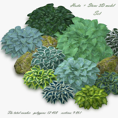 3D model Hosta Stone VR / AR / low-poly | CGTrader