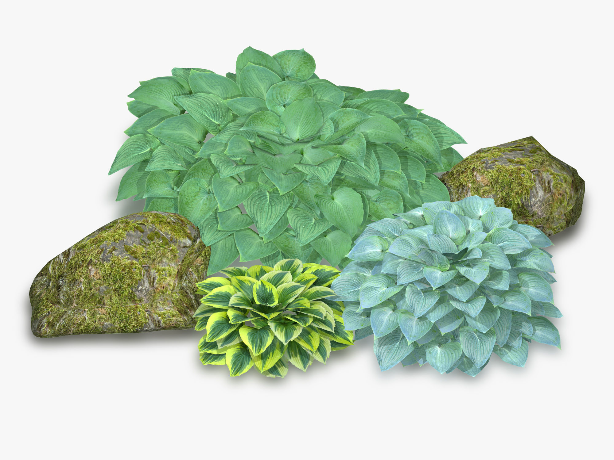 3D model Hosta Stone VR / AR / low-poly | CGTrader