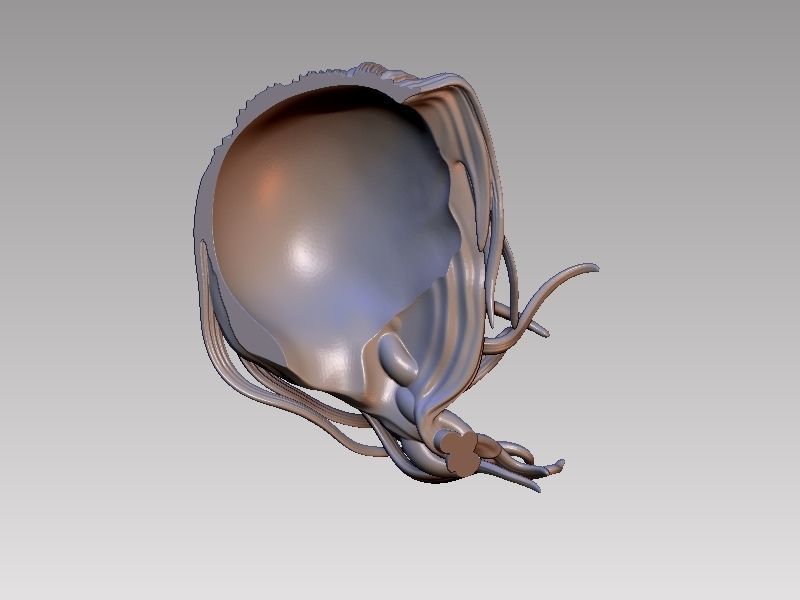 Valkyrie braided rope 3D model 3D printable | CGTrader