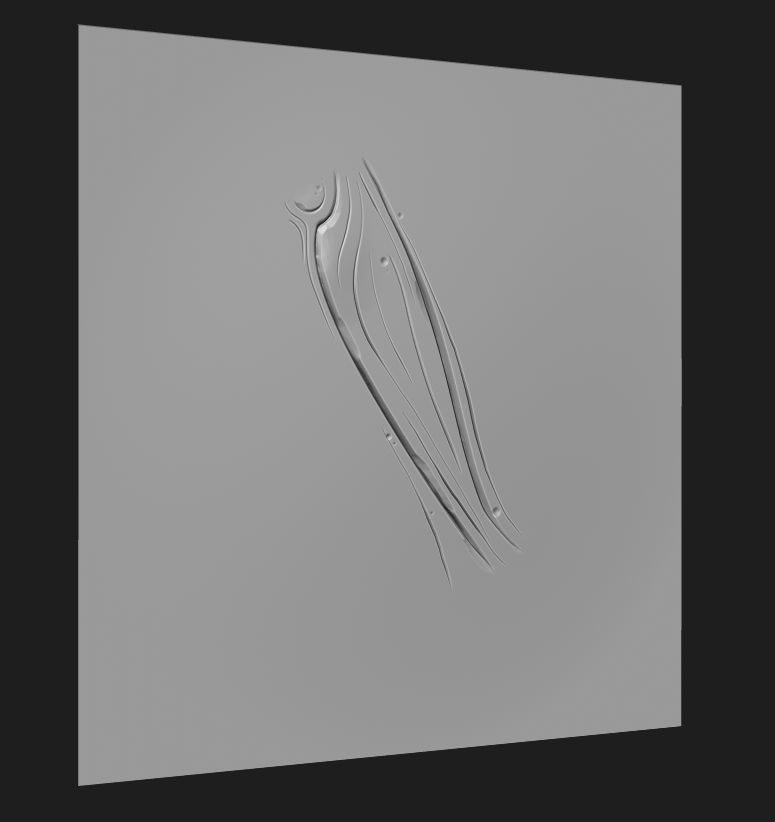 Wood Alpha Brush Texture | CGTrader