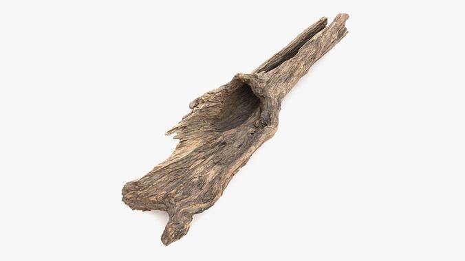 3D model Snag Root Hideout VR / AR / low-poly | CGTrader