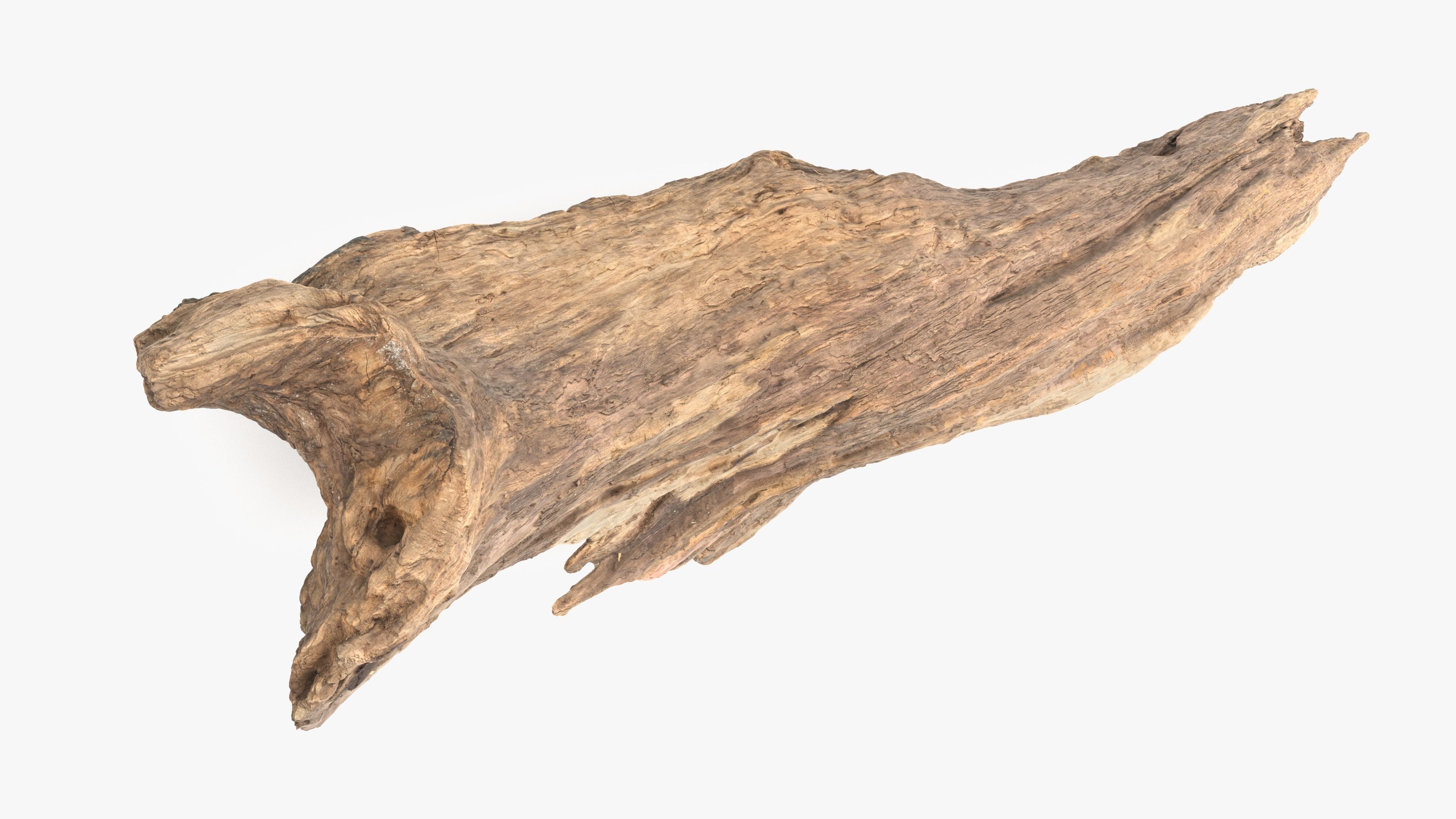 3D model Snag Root Hideout VR / AR / low-poly | CGTrader