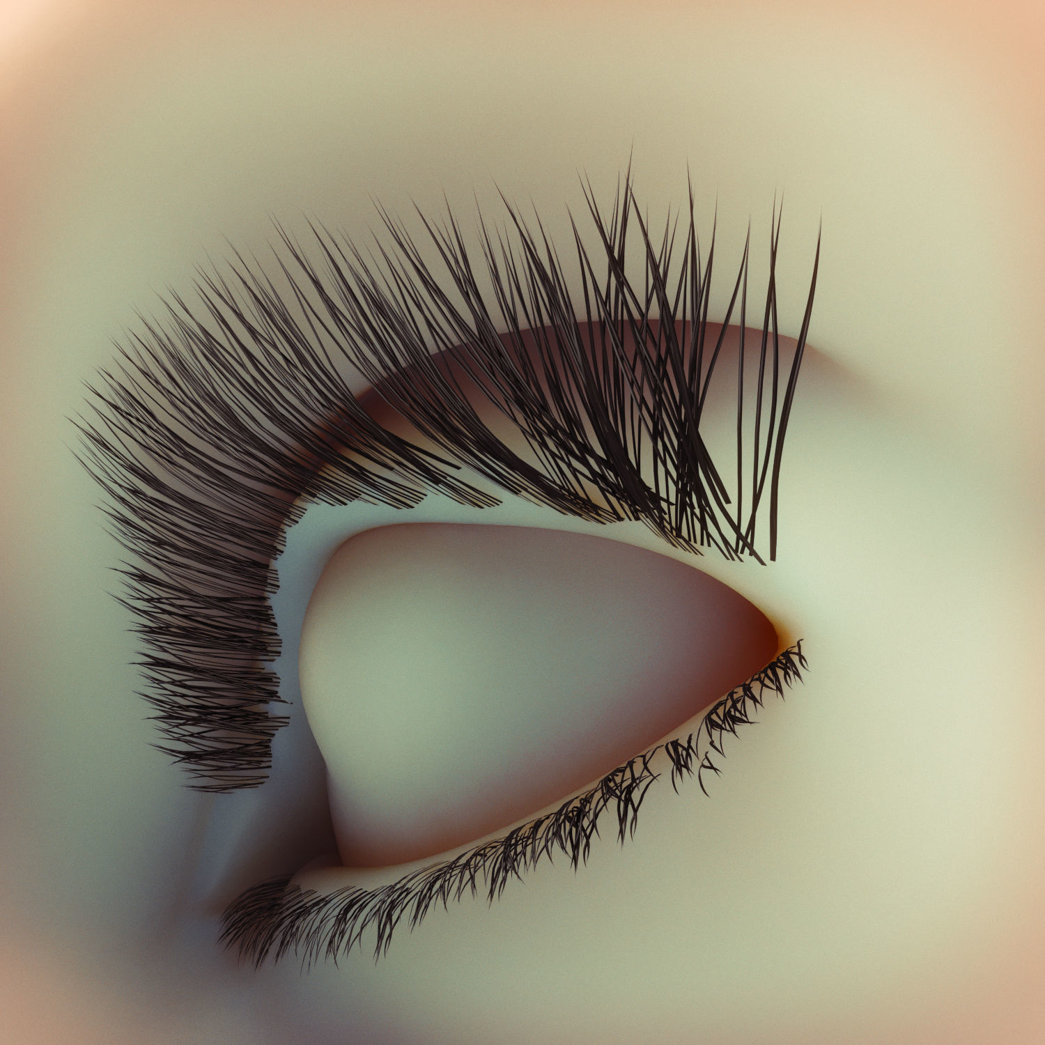 3D model Eyelashes Low Poly VR / AR / low-poly | CGTrader