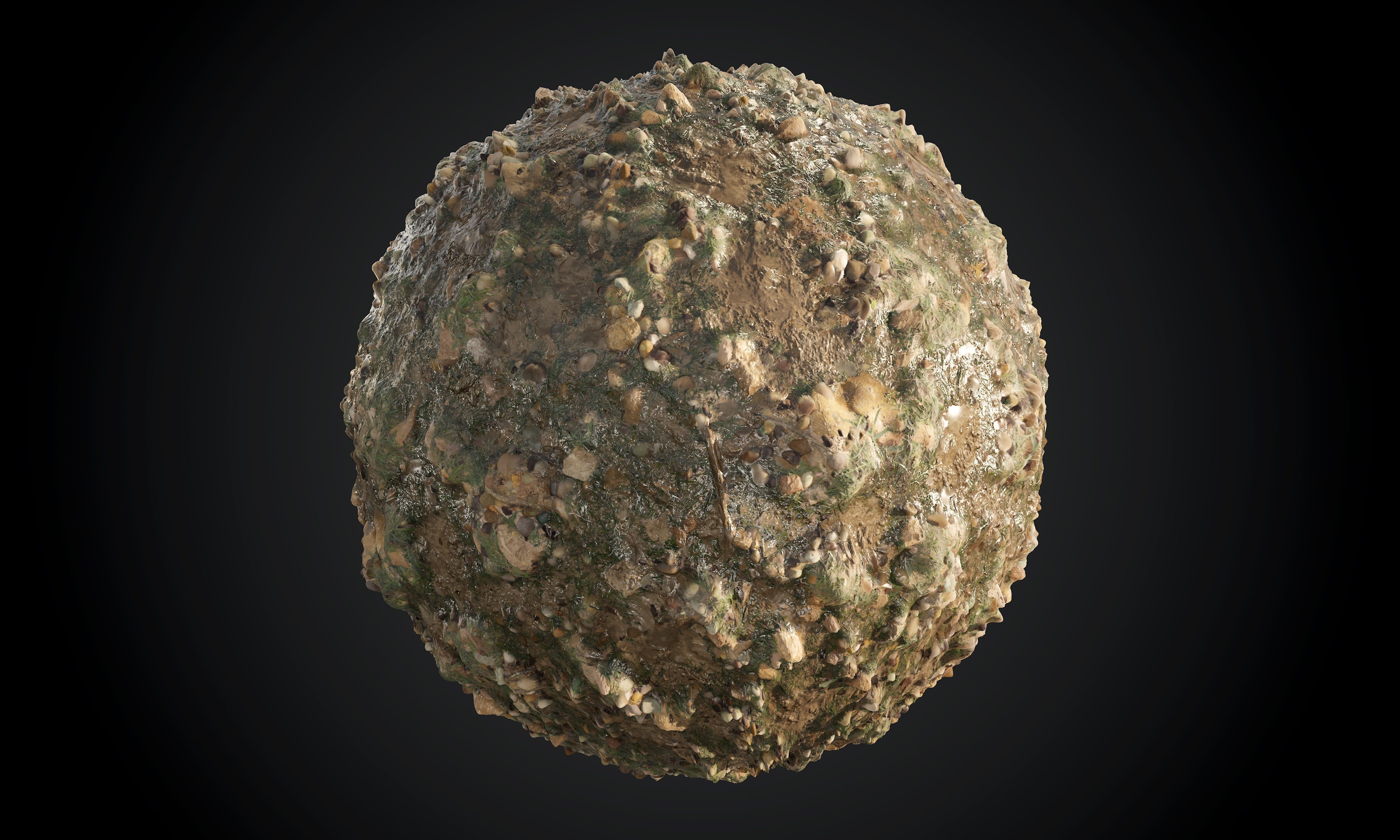 Swamp Forest Ground Terrain Seamless PBR Texture Texture | CGTrader