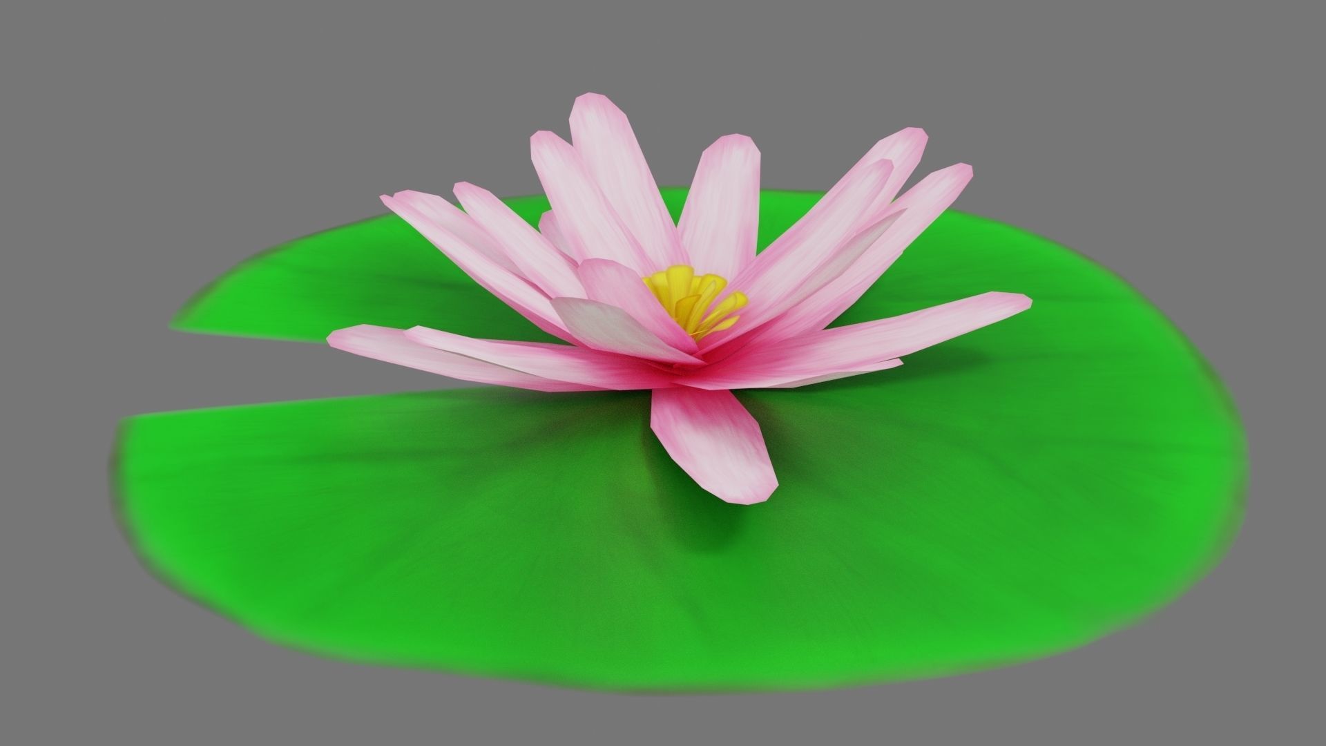 3D model Lily Pad VR / AR / low-poly | CGTrader