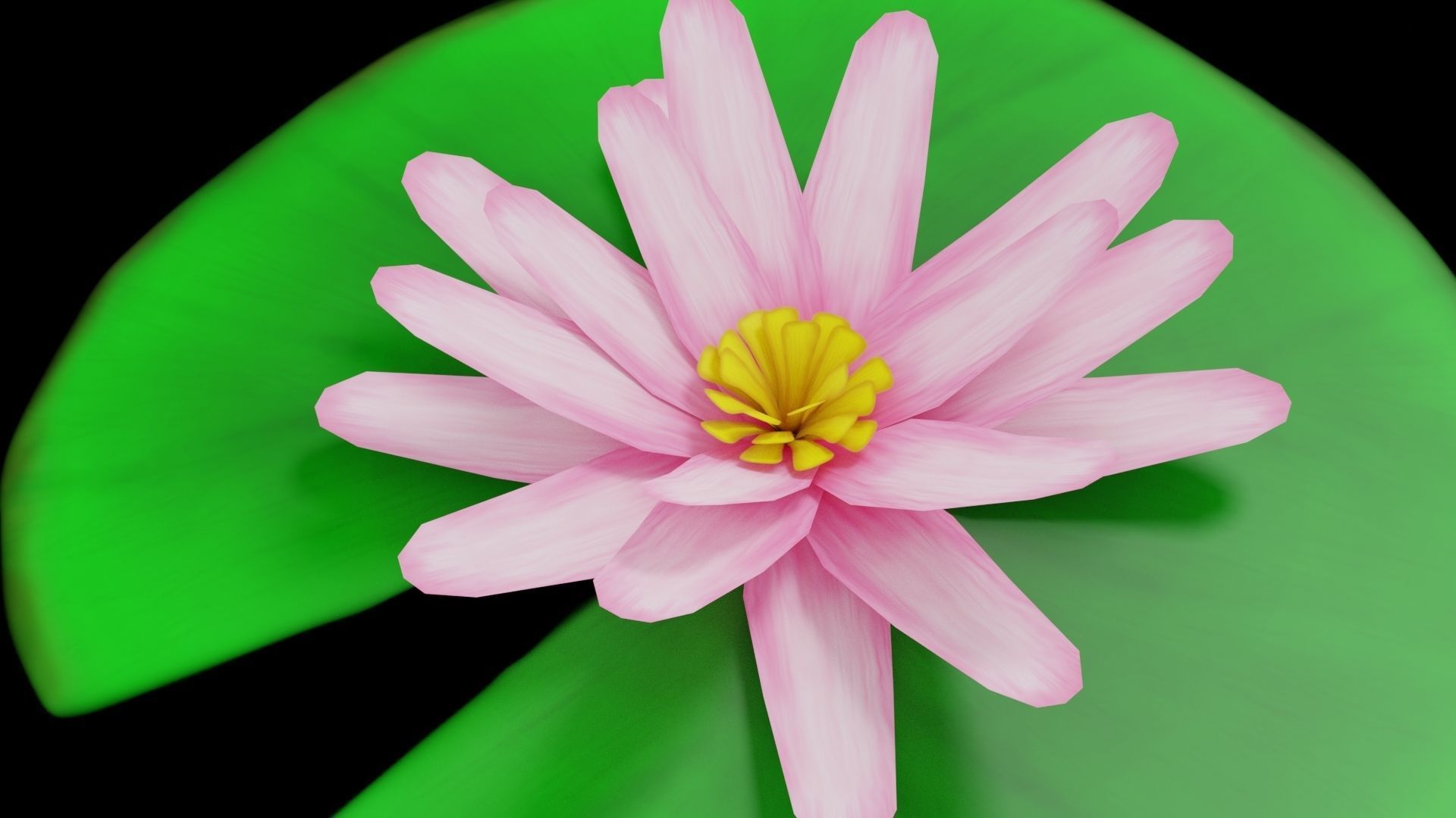 3D model Lily Pad VR / AR / low-poly | CGTrader
