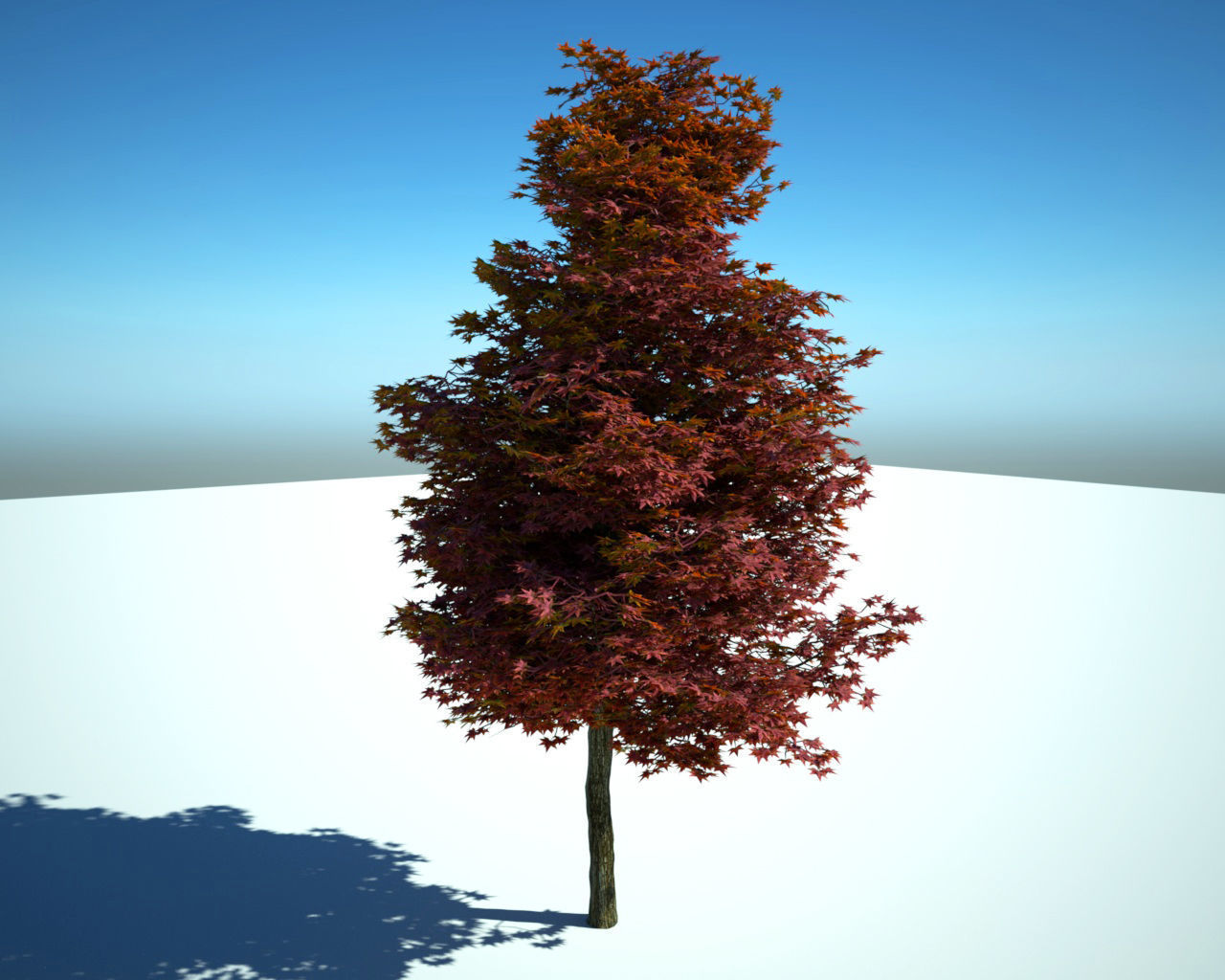Red Japanese maple 3D model rigged | CGTrader