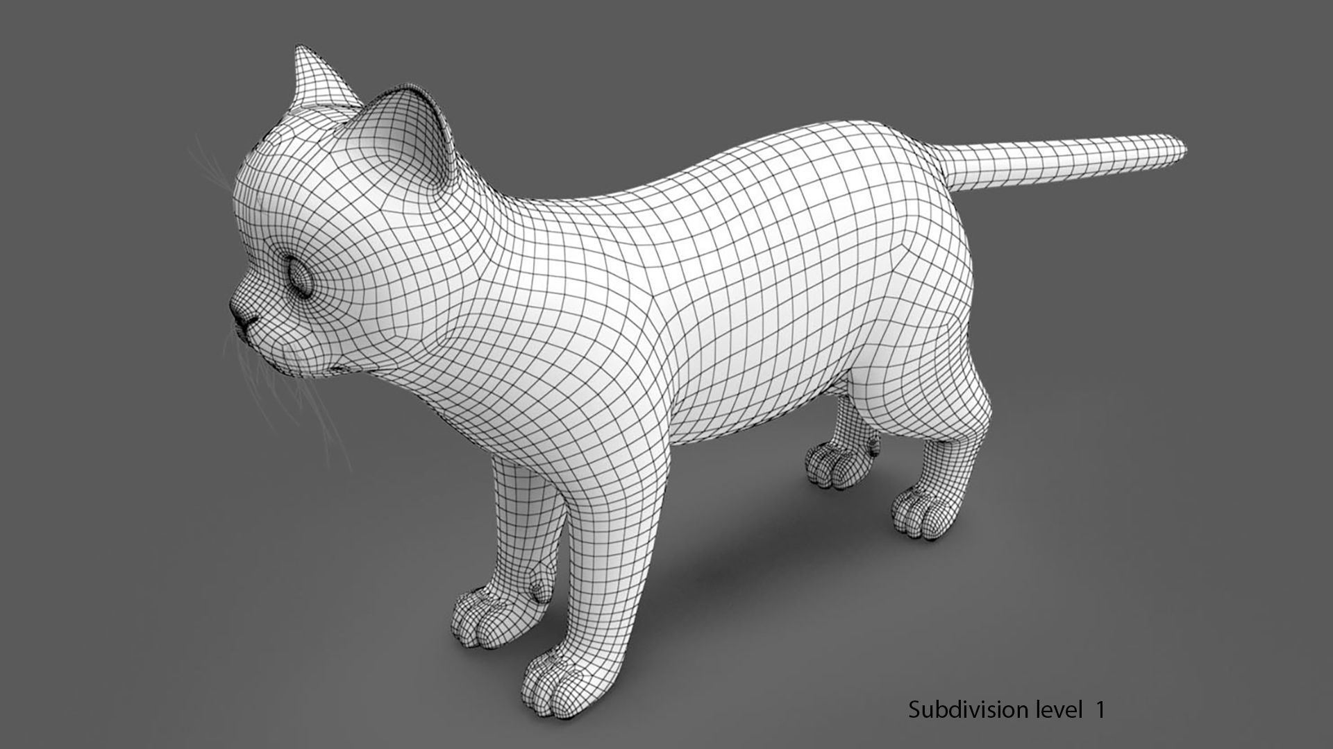 Cat Fur Rig 3D model rigged | CGTrader