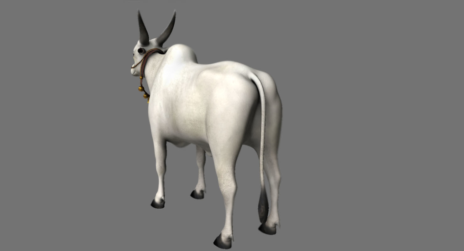 bull 3d model 3D model | CGTrader