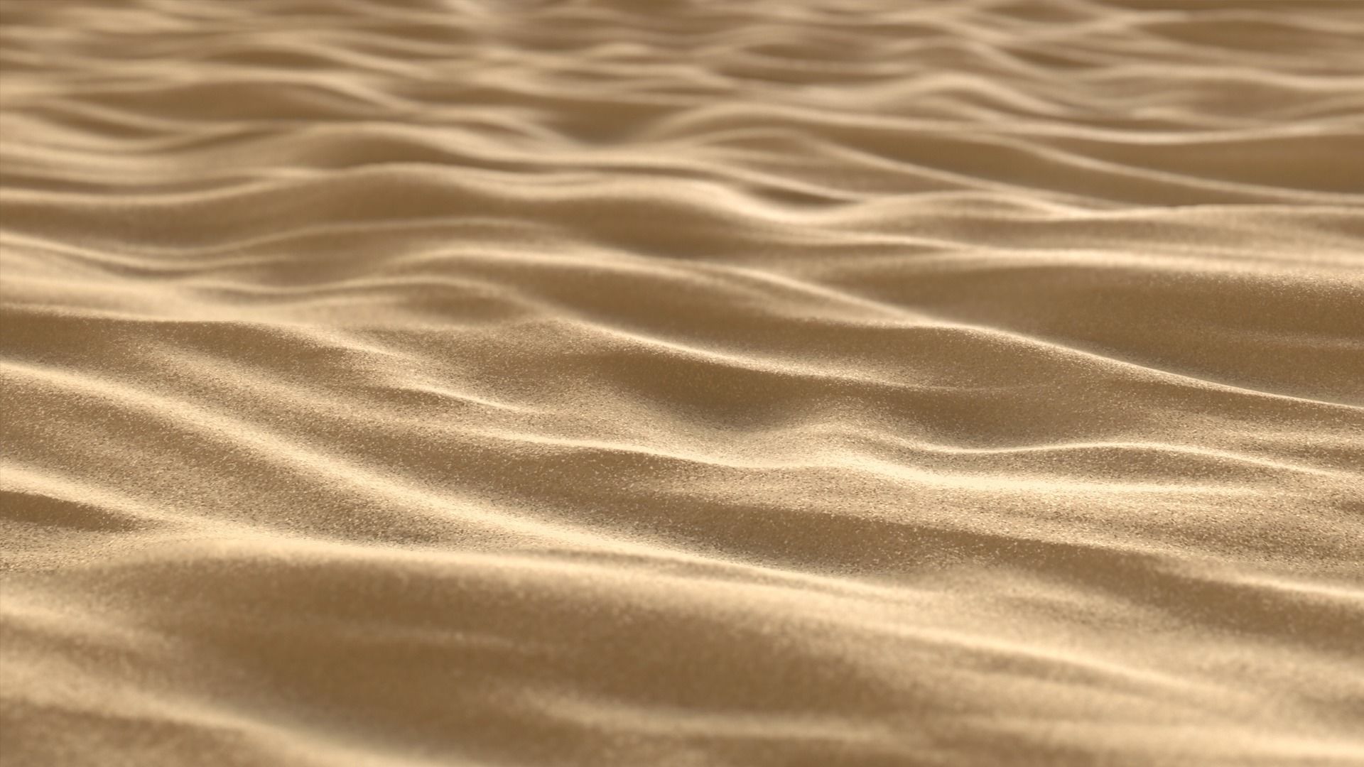 Desert Sand - Substance Designer Texture | CGTrader
