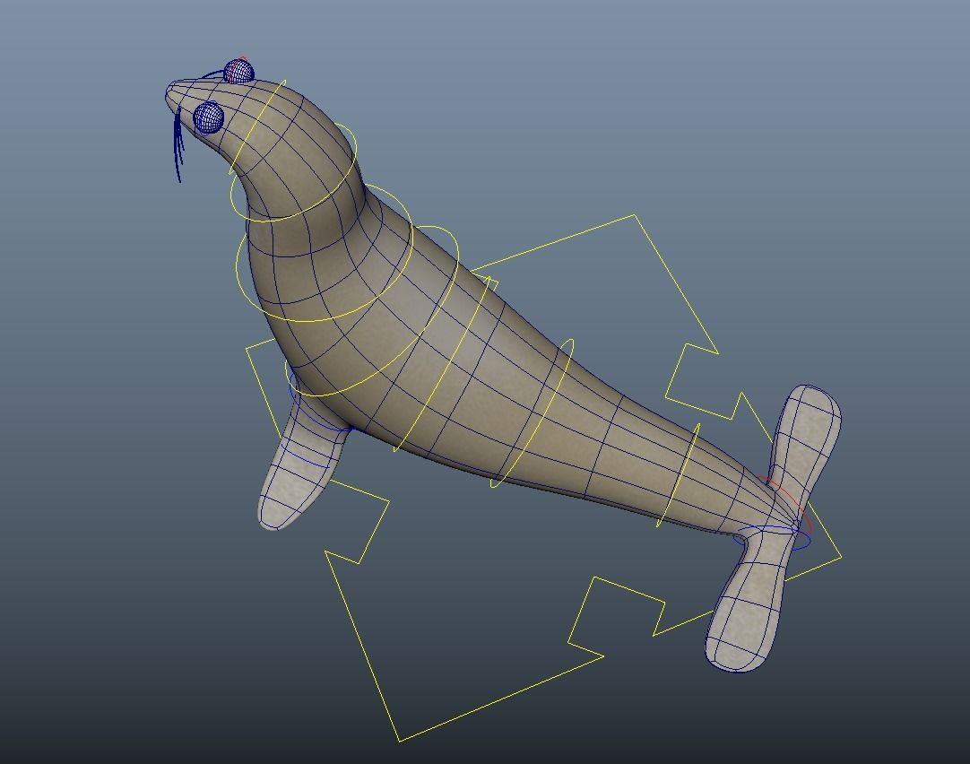 3D model Cartoon Seal - Rigged VR / AR / low-poly rigged | CGTrader