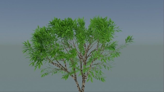 tree2 free 3D model animated rigged | CGTrader