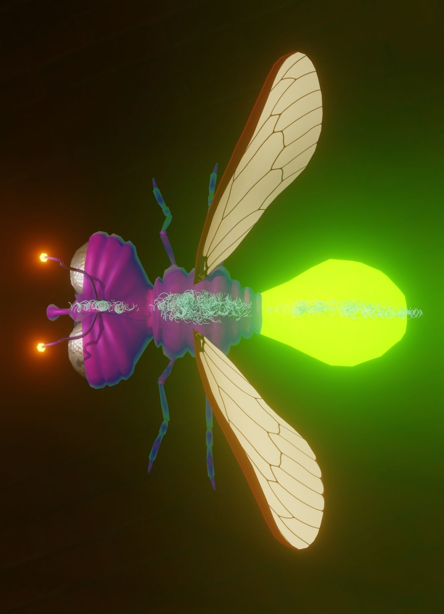 firefly fly 3D model animated rigged | CGTrader