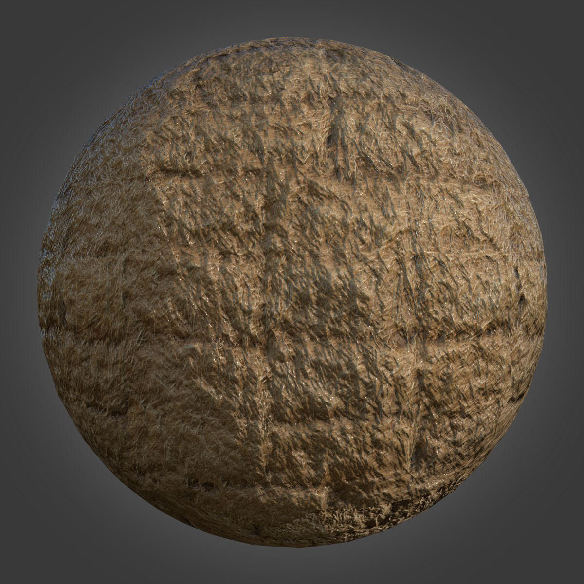20 Hay and Manure PBR Texture | CGTrader