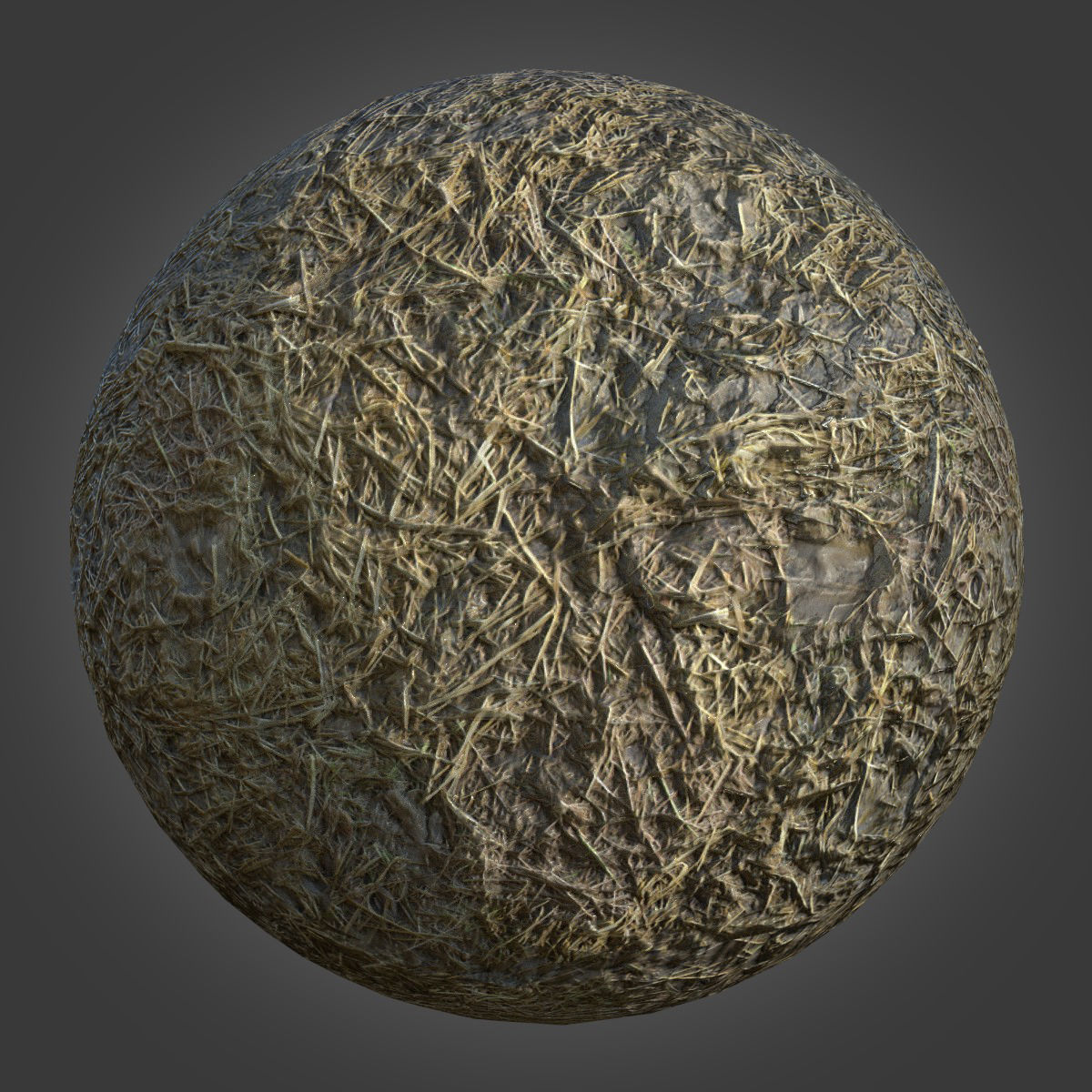 20 Hay and Manure PBR Texture | CGTrader