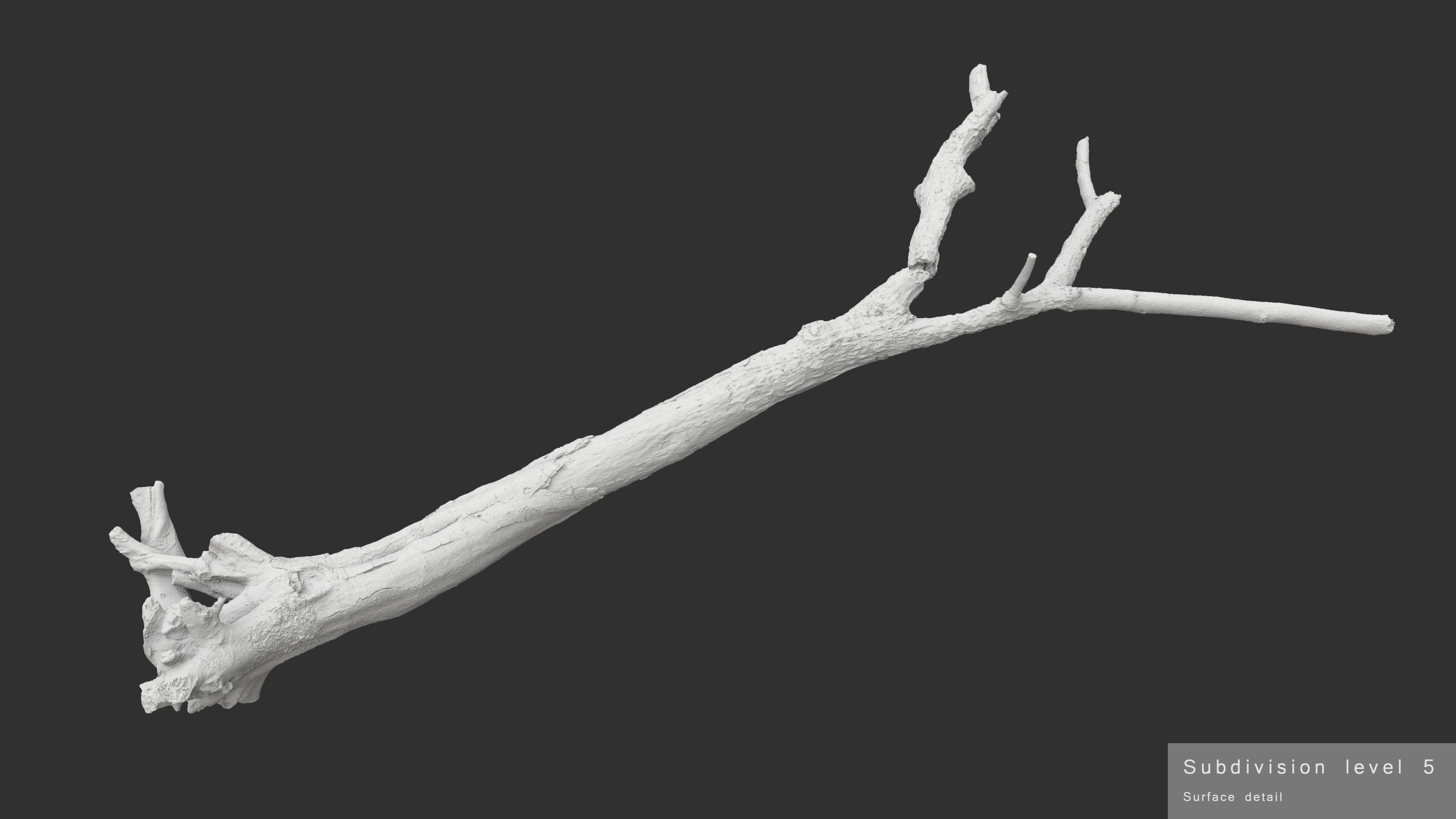 3D model Withered Broken Tree with Roots VR / AR / low-poly | CGTrader