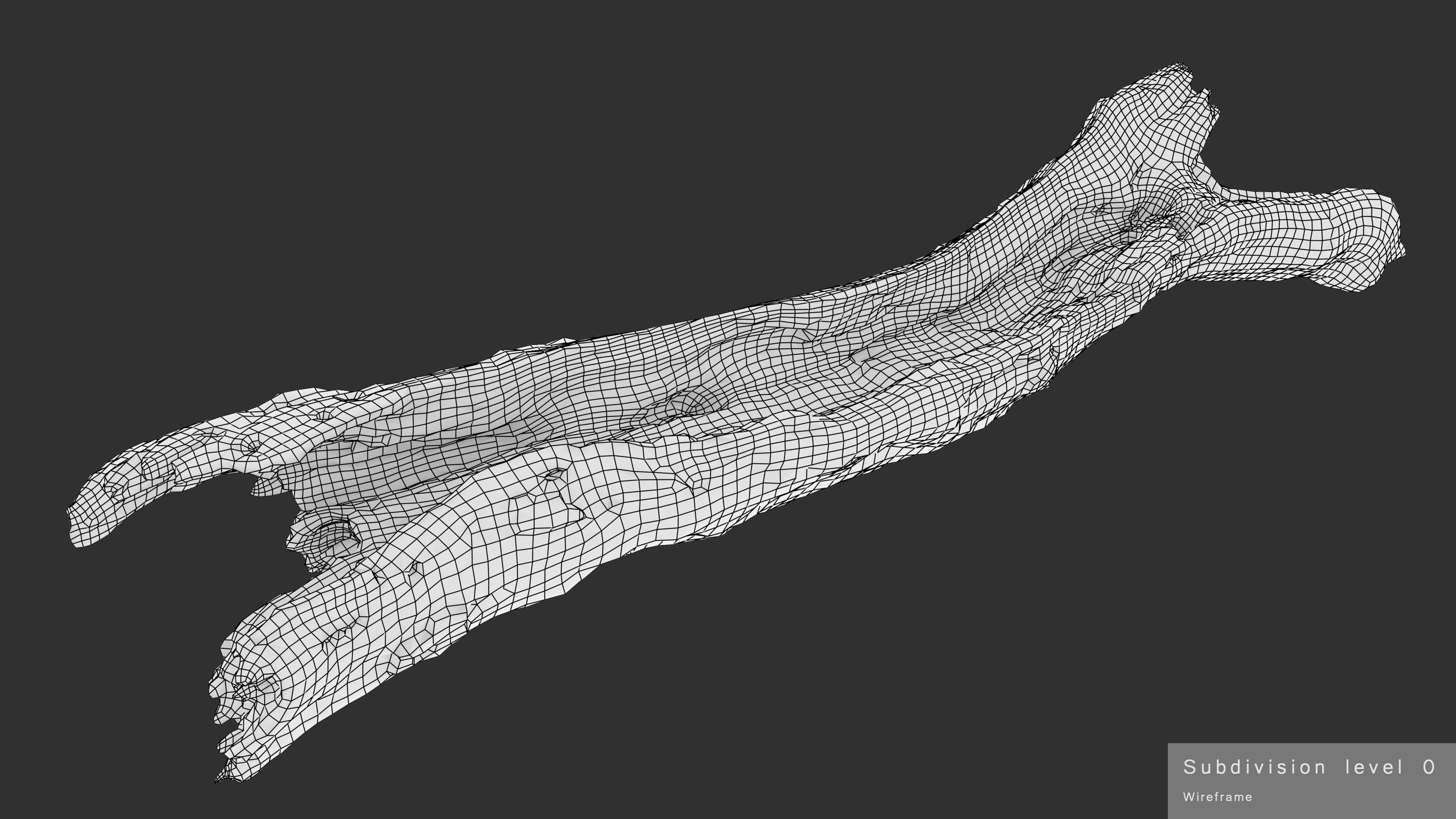 3D model Withered Tree Hide VR / AR / low-poly | CGTrader