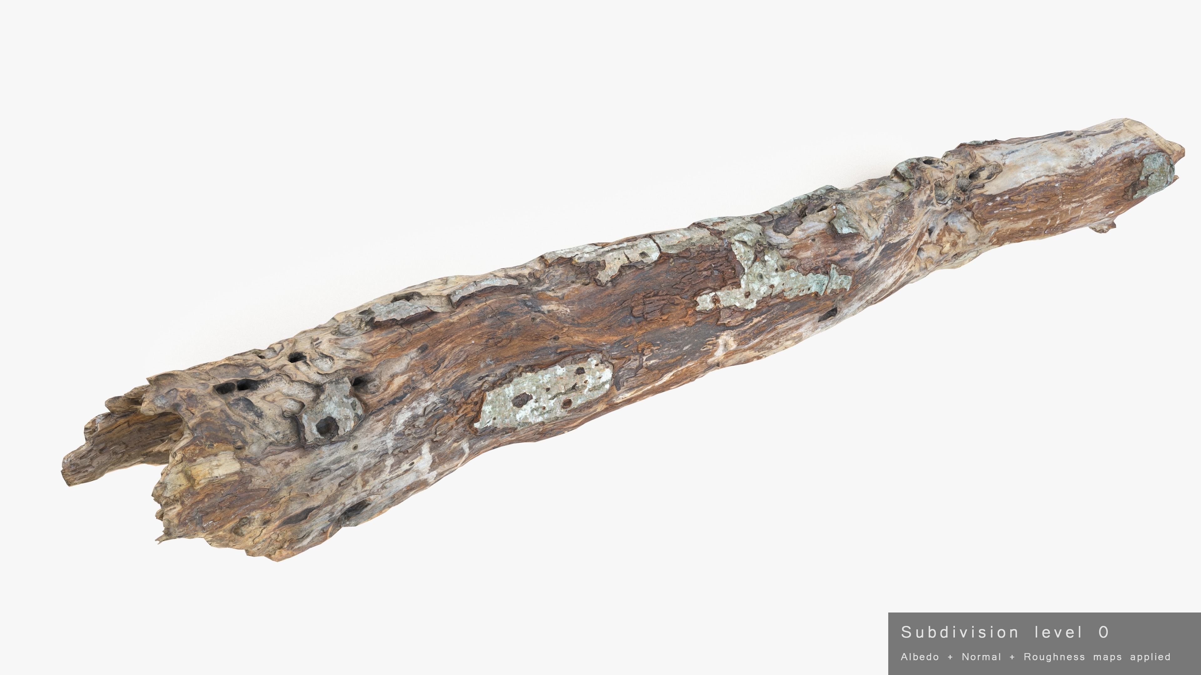 3D model Withered Tree Hide VR / AR / low-poly | CGTrader